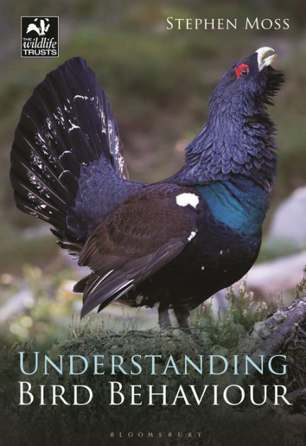 Understanding Bird Behaviour by Stephen Moss | eBook | Barnes & Noble®