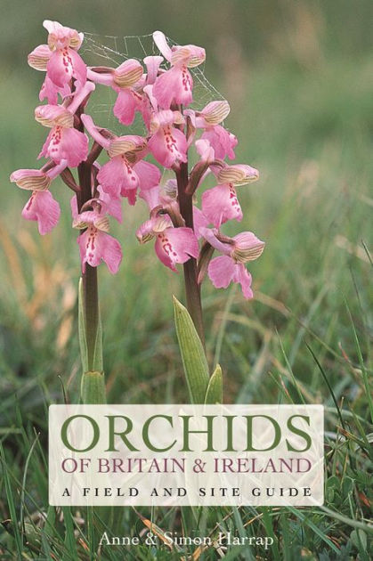 Orchids of Britain and Ireland: A Field and Site Guide by Anne Harrap ...