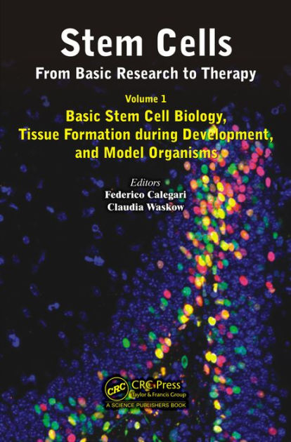 Stem Cells: From Basic Research to Therapy, Volume 1: Basic Stem Cell ...