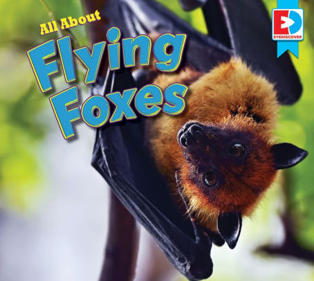 All About Flying Foxes by Katie Gillespie | NOOK Book (eBook) | Barnes ...