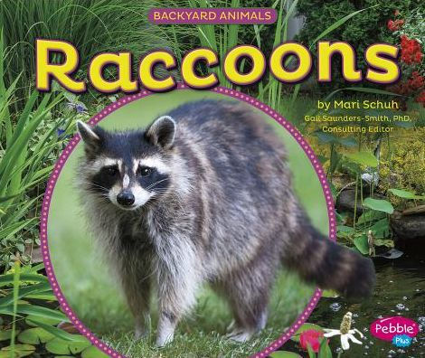 Raccoons by Mari Schuh, Hardcover | Barnes & Noble®