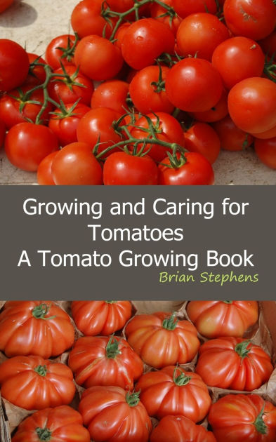 Growing and Caring for Tomatoes: An Essential Tomato Growing Book by ...