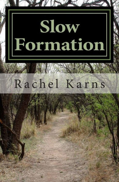 Slow Formation by Rachel Karns, Paperback | Barnes & Noble®