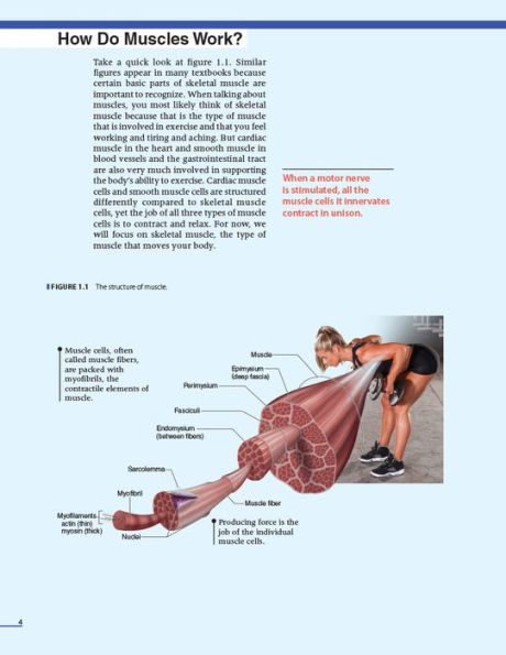 Practical Guide to Exercise Physiology: The Science of Exercise ...