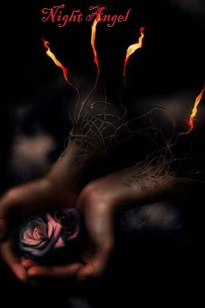 Night Angel: Book One in the Angel's Trilogy by Kadee Nichols ...