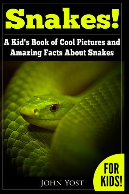Snakes! A Kid's Book Of Cool Images And Amazing Facts About Snakes ...