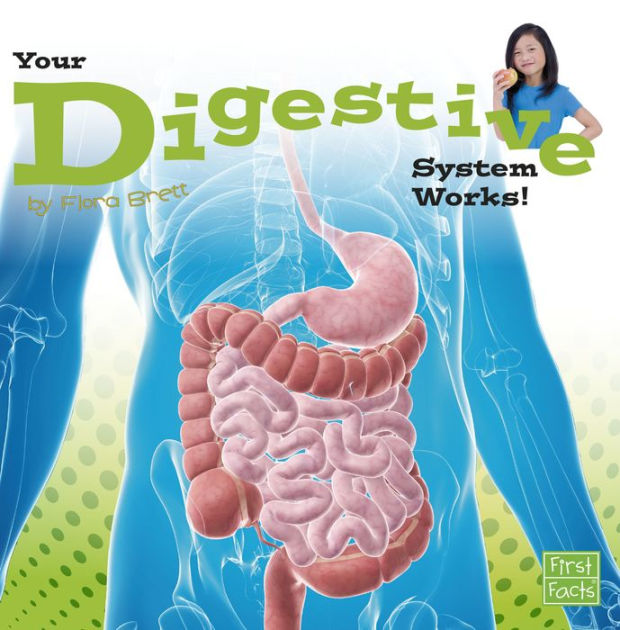 Your Digestive System Works! by Flora Brett, Hardcover | Barnes & Noble®