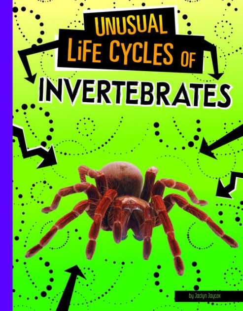 Unusual Life Cycles of Invertebrates by Jaclyn Jaycox, Paperback ...