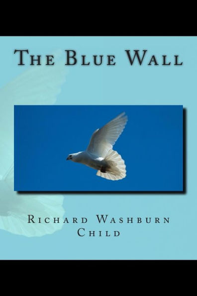 The Blue Wall by Richard Washburn Child, Paperback | Barnes & Noble®