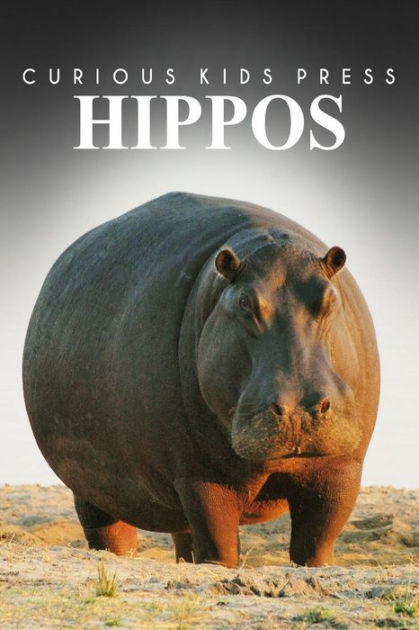 Hippos - Curious Kids Press: Kids book about animals and wildlife ...