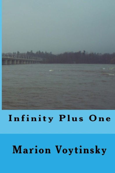 Infinity Plus One by Jennifer Harris, Marion Voytinsky, Paperback | Barnes & Noble®