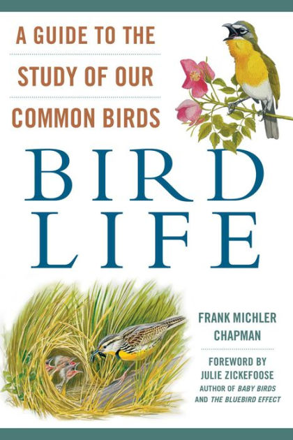 Bird Life: A Guide to the Study of Our Common Birds by Frank Michler ...