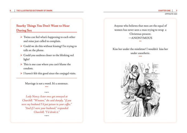 The Illustrated Dictionary of Snark: A Snide, Sarcastic Guide to Verbal ...