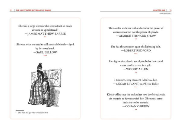 The Illustrated Dictionary of Snark: A Snide, Sarcastic Guide to Verbal ...