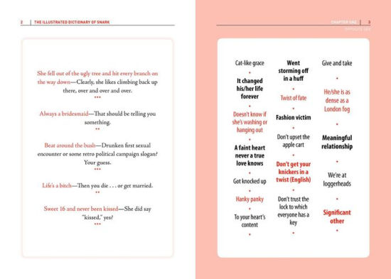 The Illustrated Dictionary of Snark: A Snide, Sarcastic Guide to Verbal ...
