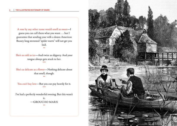 The Illustrated Dictionary of Snark: A Snide, Sarcastic Guide to Verbal ...