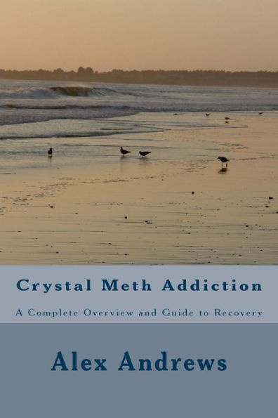 Crystal Meth Addiction: A Complete Overview and Guide to Recovery by ...