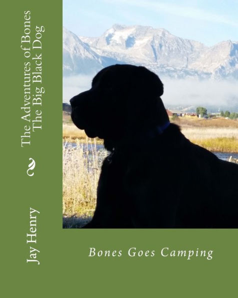 The Adventures of Bones-The Big Black Dog: Bones Goes Camping by Motoko ...