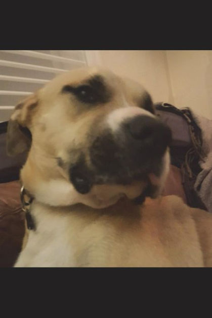 Photographic Visions by Jesse Radin, Paperback | Barnes & Noble®