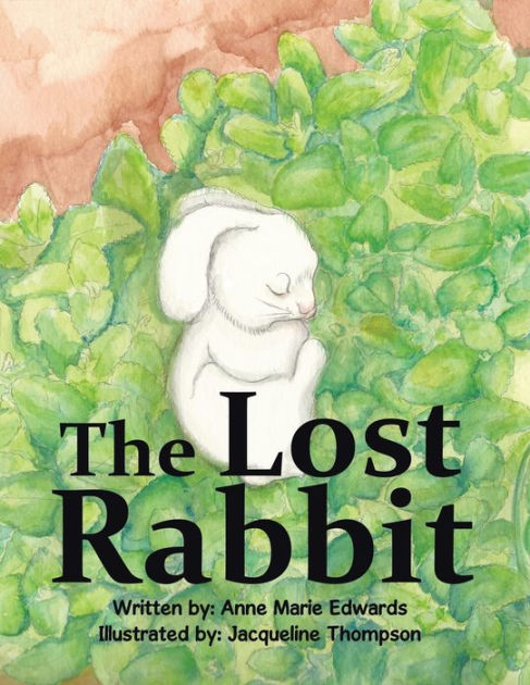 The Lost Rabbit by Anne Marie Edwards, Paperback | Barnes & Noble®