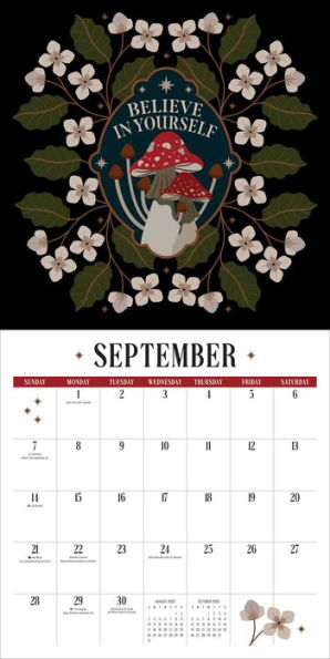 2025 You Have the Magic Wall Calendar by Viki Lester | Barnes & Noble®