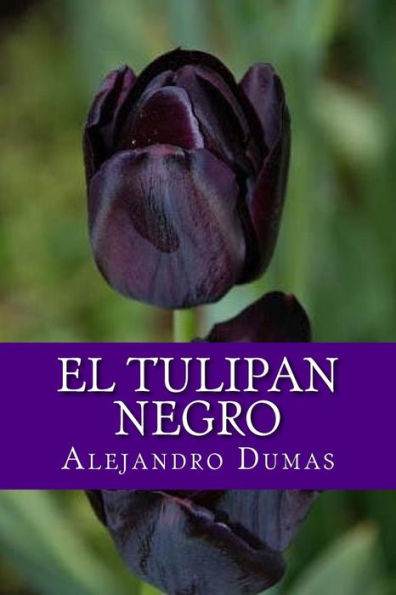 El Tulipan Negro (Spanish Edition) by Yordi Abreu, Alejandro Dumas, Paperback | Barnes & Noble®