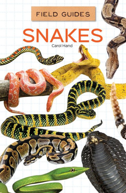 Snakes by Carol Hand, Hardcover | Barnes & Noble®