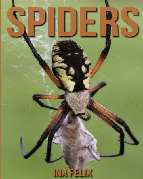 Spiders: Children Book of Fun Facts & Amazing Photos on Animals in ...