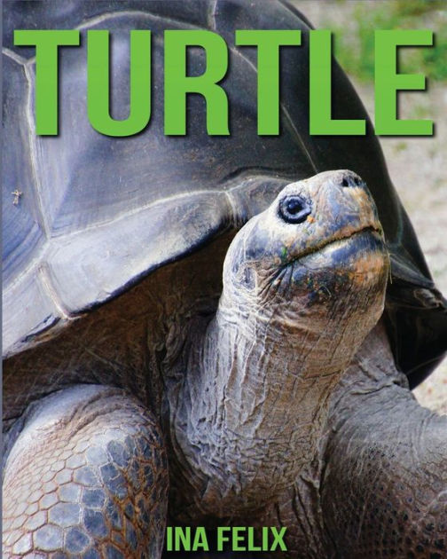 Turtle: Children Book of Fun Facts & Amazing Photos on Animals in ...