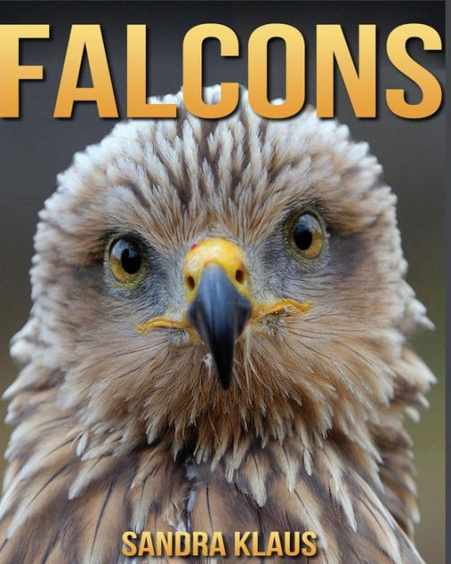 Childrens Book: Amazing Facts & Pictures about Falcon by Sandra Klaus ...