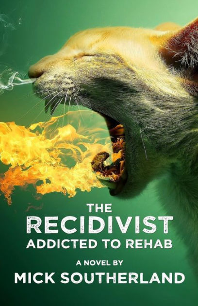 The Recidivist: Addicted to Rehab: A shocking novel about alcoholism ...