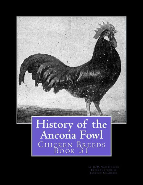 History of the Ancona Fowl: Chicken Breeds Book 31 by Jackson Chambers ...