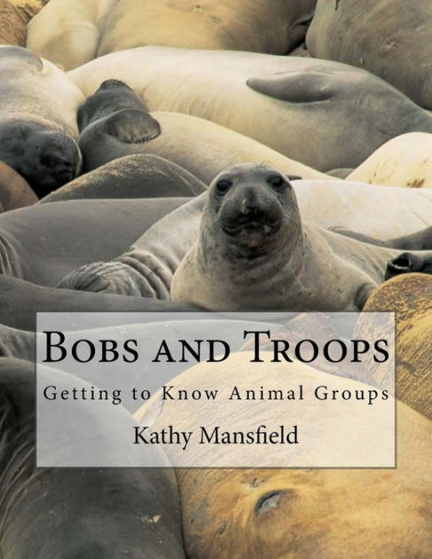 Bobs and Troops: Getting to Know Animal Groups by Kathy Mansfield ...