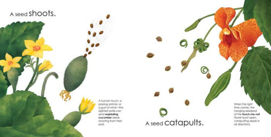 Seeds Move! by Robin Page, Hardcover | Barnes & Noble®