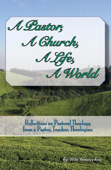A Pastor, A Church, A Life, A World: Reflections on Pastoral Theology ...