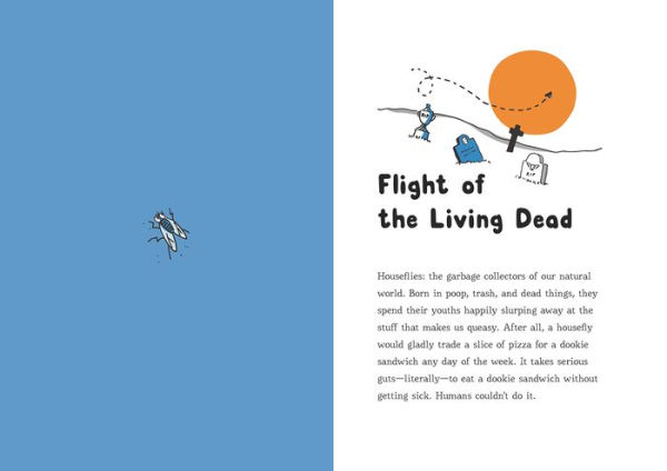 Unseen Jungle: The Microbes That Secretly Control Our World by Eleanor ...