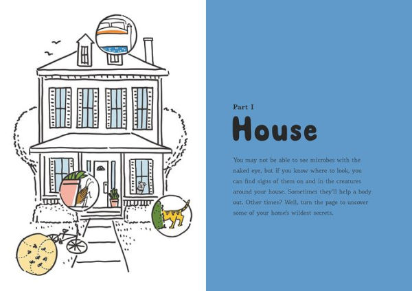 Unseen Jungle: The Microbes That Secretly Control Our World by Eleanor ...