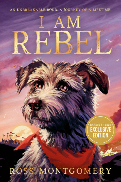 I Am Rebel (B&N Exclusive Edition) by Ross Montgomery, Paperback ...
