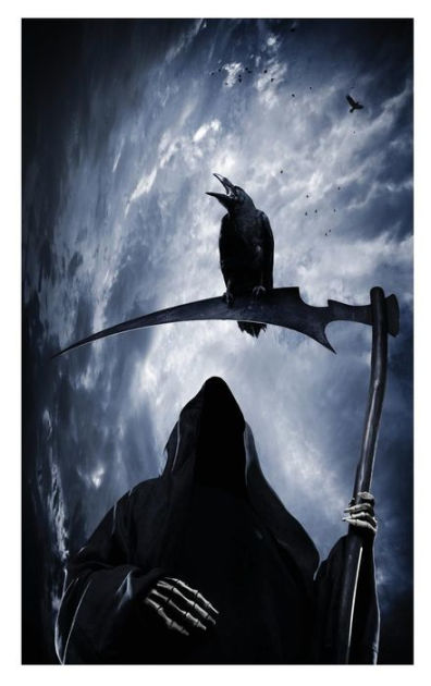 Hardcover Grim Reaper and a Raven Journal: 100 Page Lined Journal by ...
