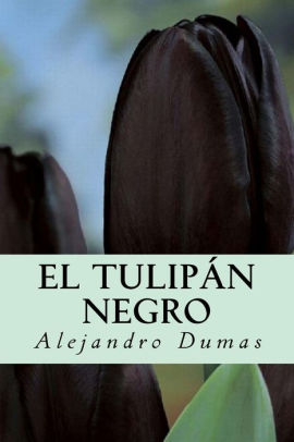 El Tulipán Negro by Alejandro Dumas, Paperback | Barnes & Noble®