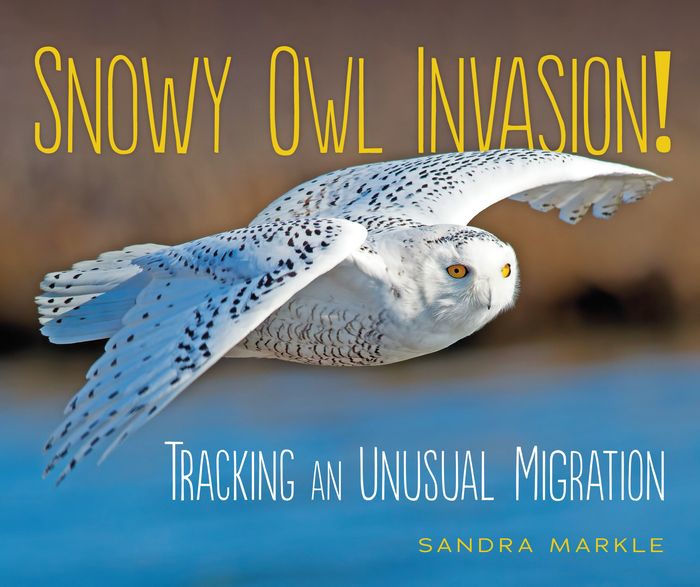 Snowy Owl Invasion!: Tracking an Unusual Migration by Sandra Markle ...
