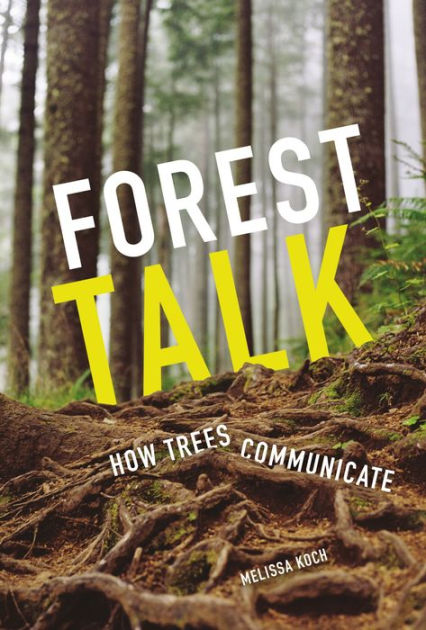 Forest Talk: How Trees Communicate by Melissa Koch, Hardcover | Barnes ...