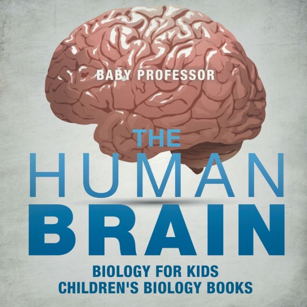 The Human Brain - Biology for Kids Children's Biology Books by Baby ...