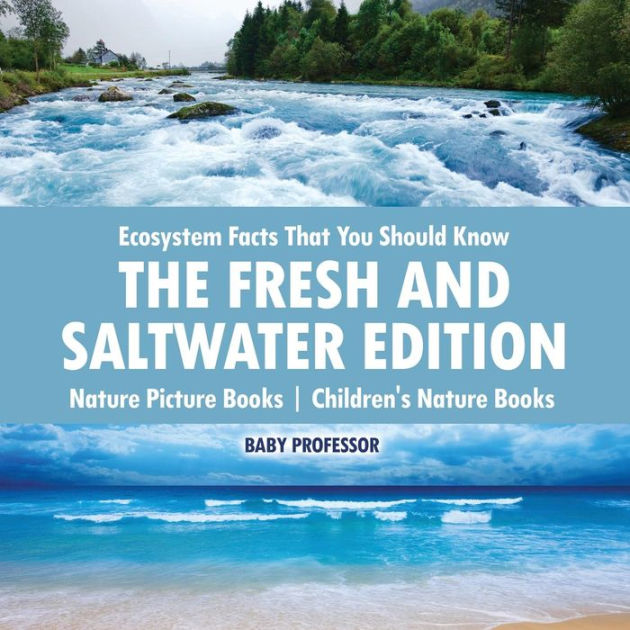 Ecosystem Facts That You Should Know - The Fresh and Saltwater Edition ...