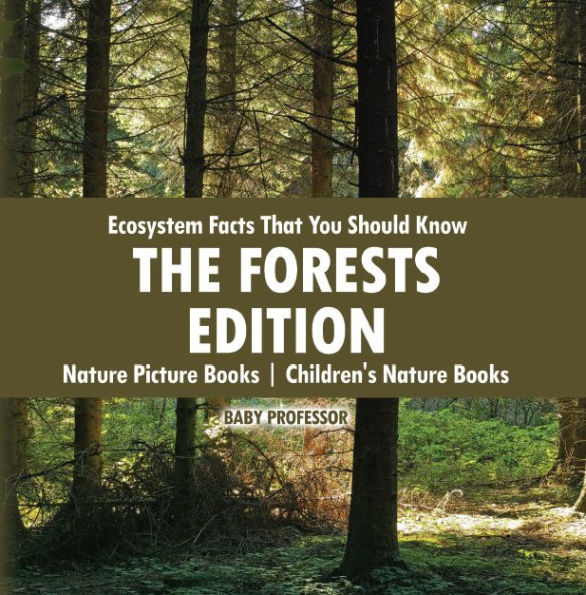 Ecosystem Facts That You Should Know - The Forests Edition - Nature ...