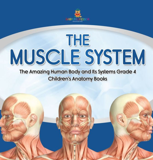 The Muscle System The Amazing Human Body and Its Systems Grade 4 ...