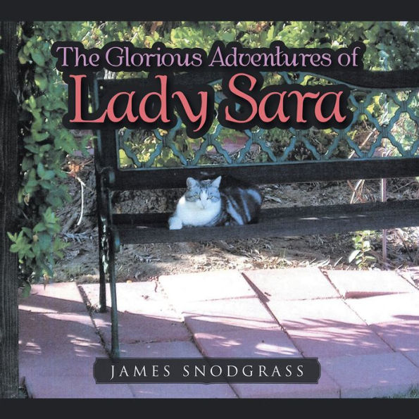 The Glorious Adventures of Lady Sara by James Snodgrass | eBook ...