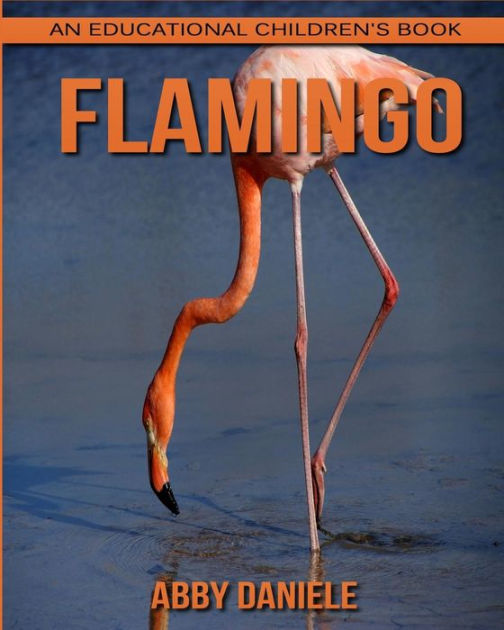 Flamingo! An Educational Children's Book about Flamingo with Fun Facts ...