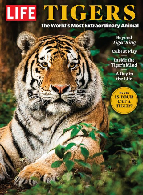 LIFE Tigers by LIFE Magazine | eBook | Barnes & Noble®