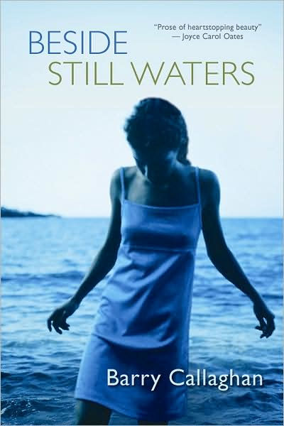 Beside Still Waters by Barry Callaghan, Hardcover | Barnes & Noble®